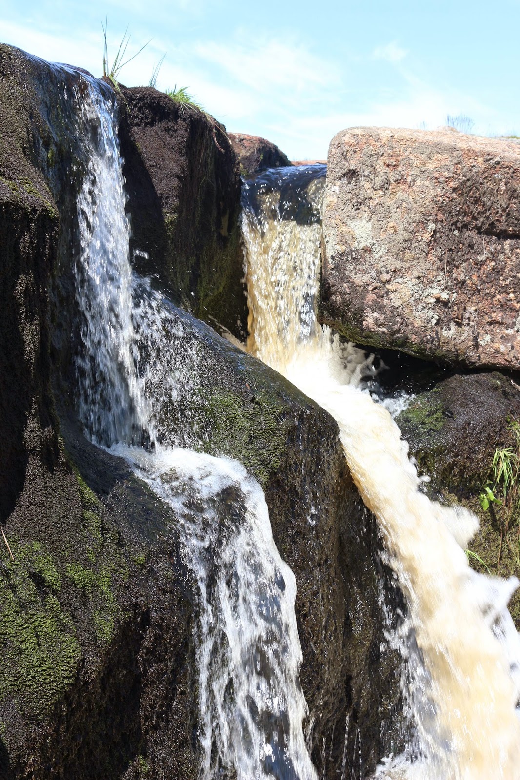 Musings from Higher Downgate and Elsewhere: Short walk from Postbridge ...