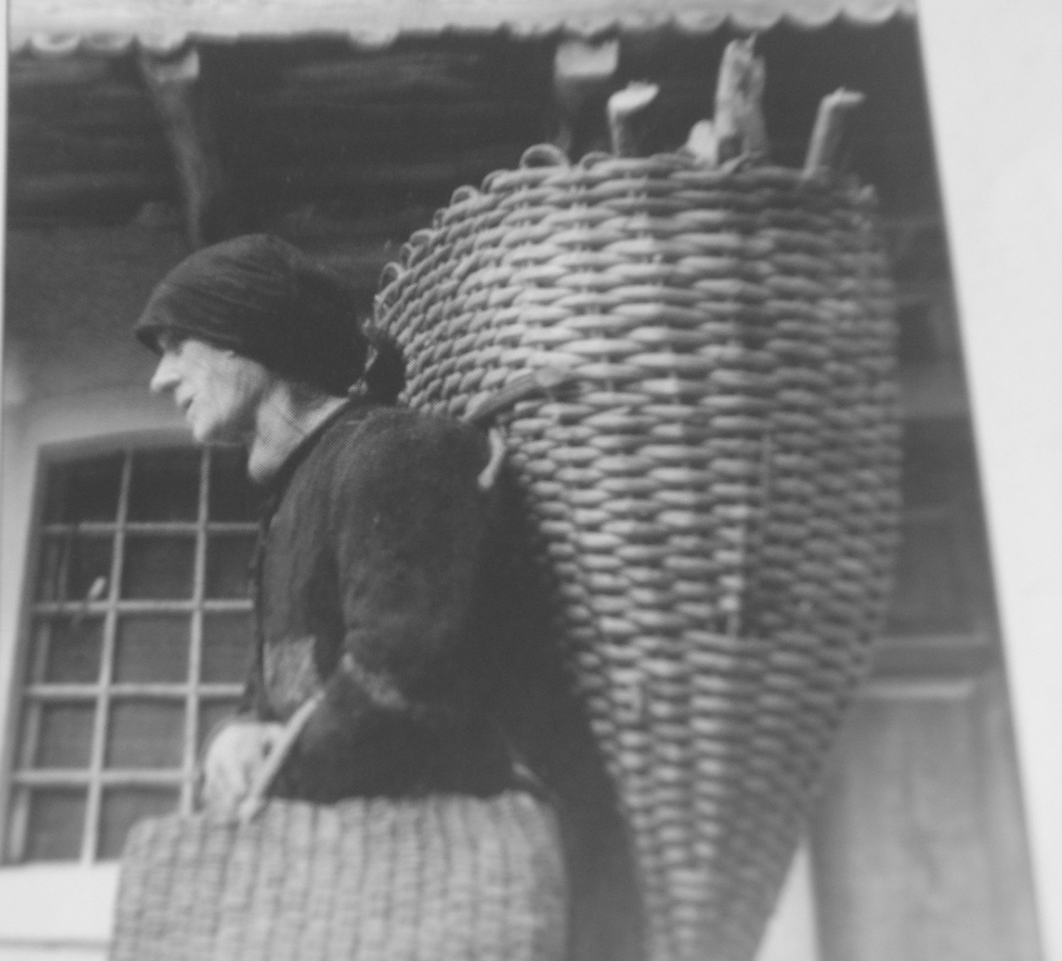 La gerla blog: LA GERLA (poesia)