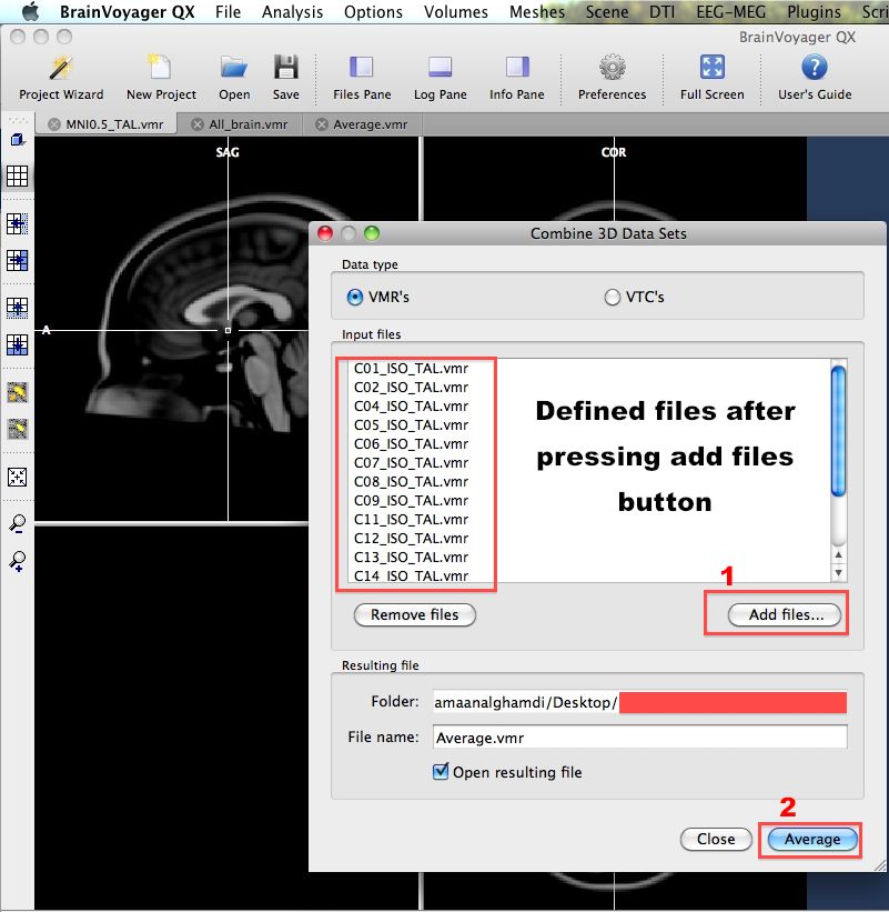 Neuroimaging Made Easy : Create an averaged brain in Brainvoyager QX
