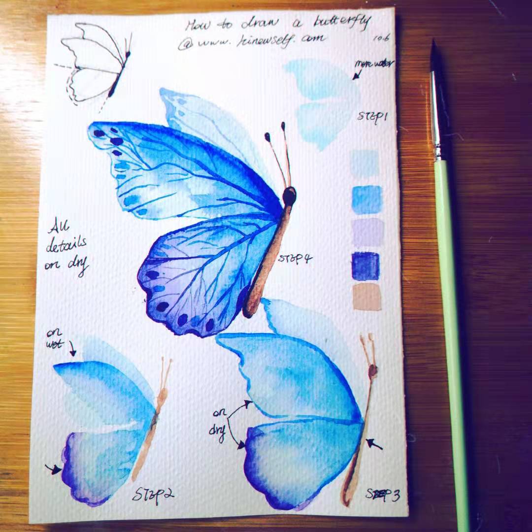 Watercolor Butterfly Tutorial