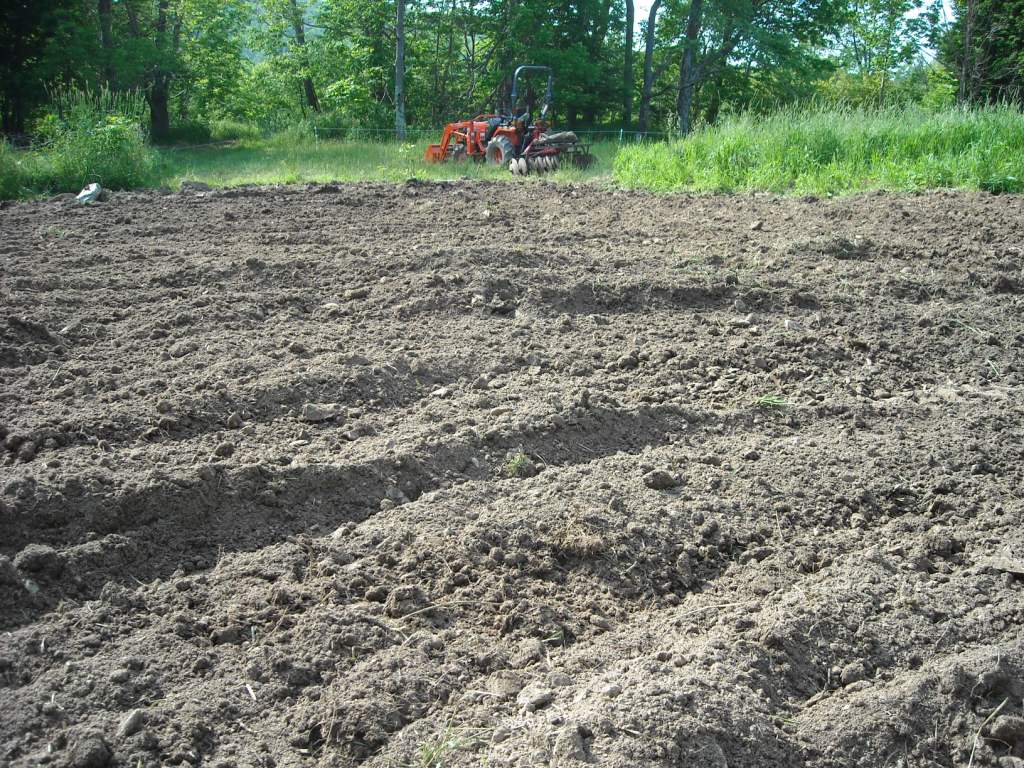 Stark Hollow Farm: Vanessa Conquers the Ancient Disc Harrow
