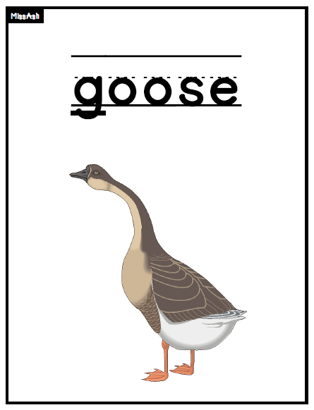 ASH THE TEACHER: g, o, c, k