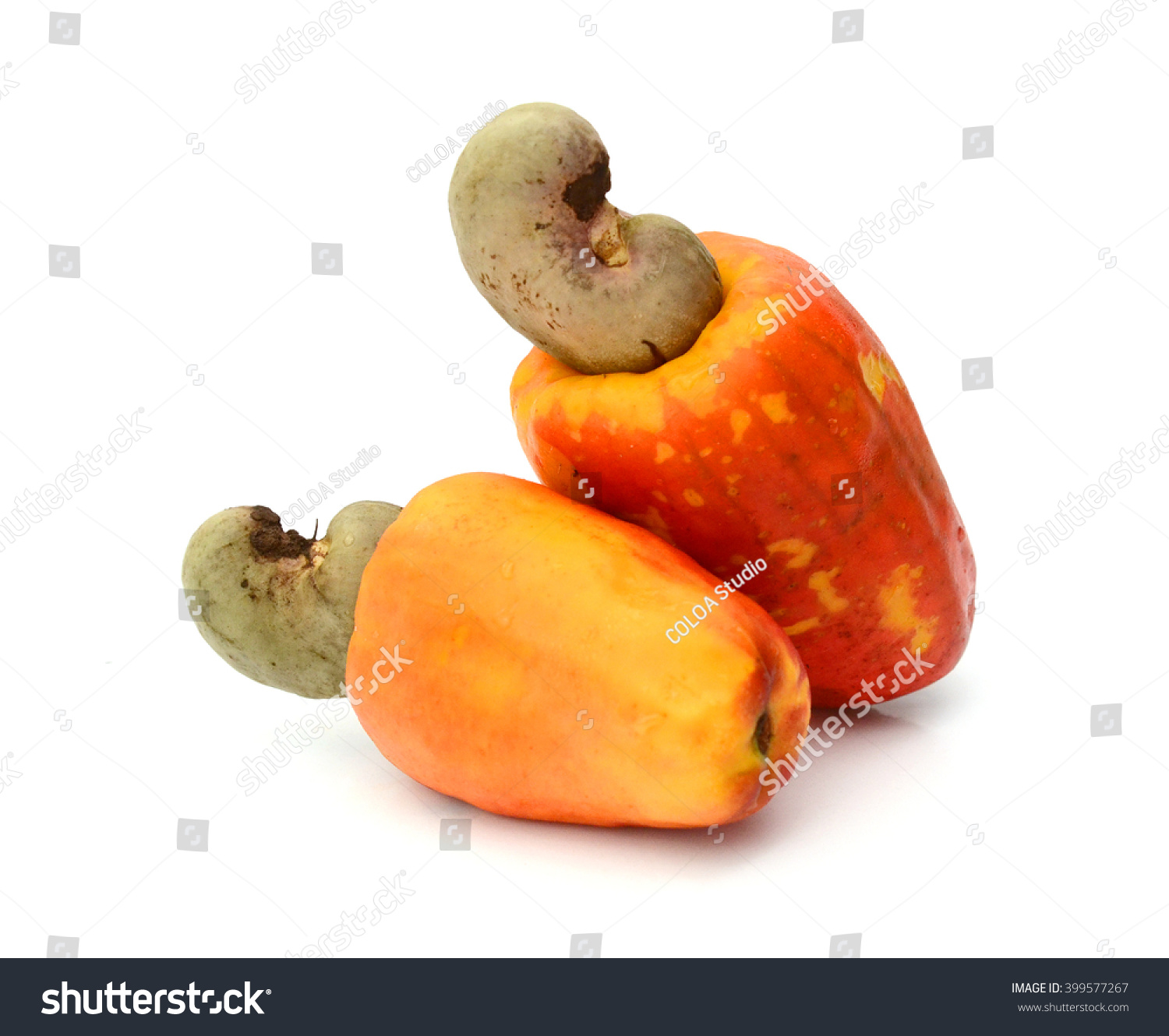 LE NUMERIQUE UNE POSSIBILITE DANS LA FILIERE ANACARDE: L'ANACARDE UN ...