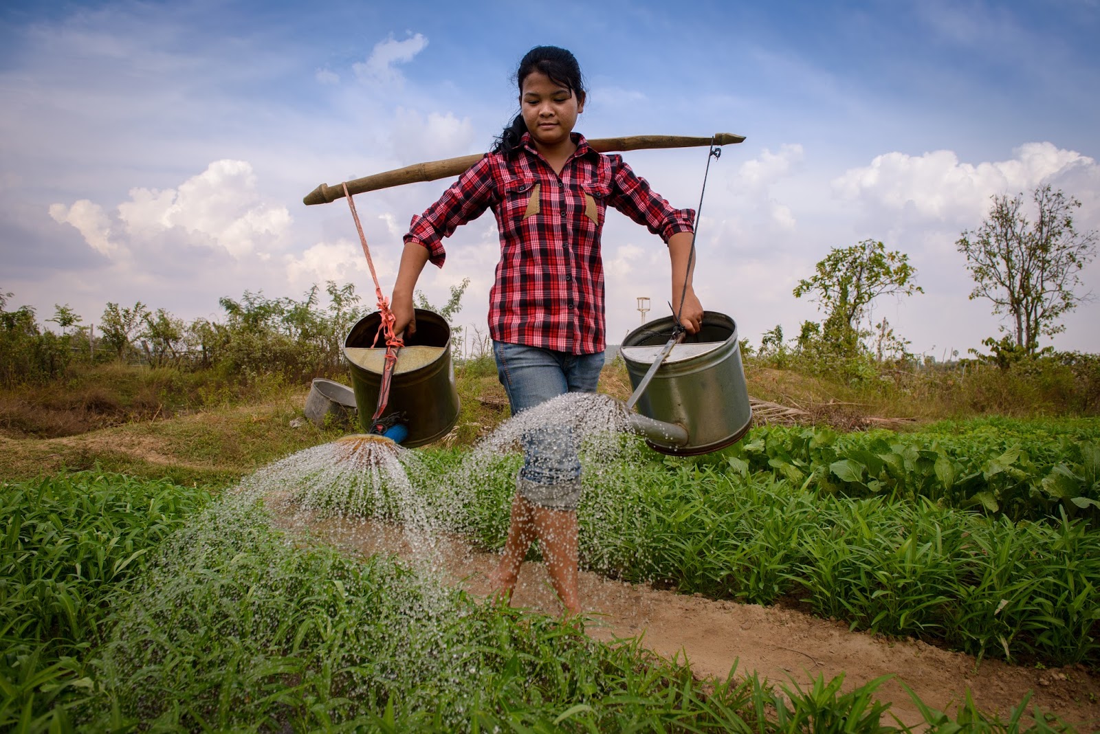 Woven by Words: World Vision Global 6K for Water