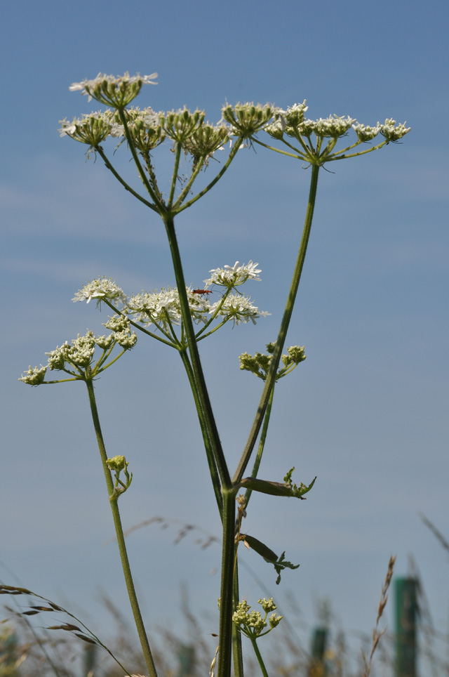 Rob Bowker Photography: July 2013