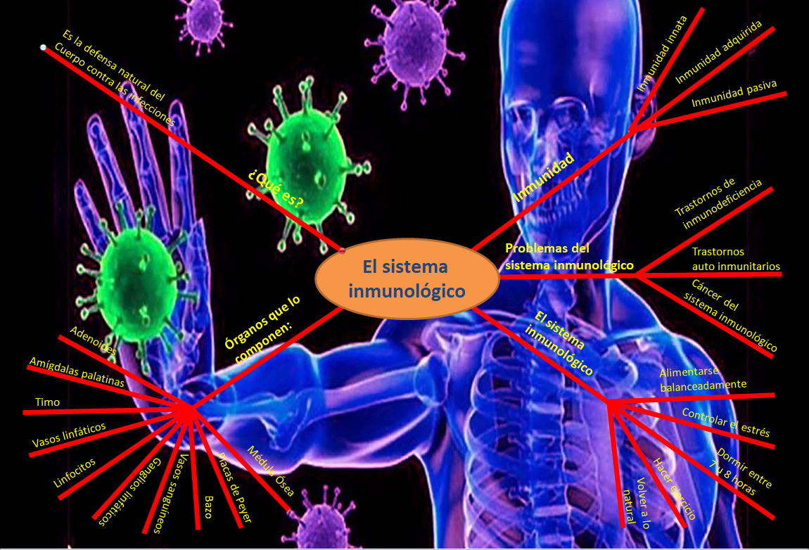 El Ph y sistema inmunologico