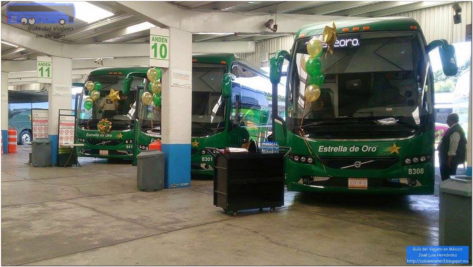 Estrella de Oro Plus estrena unidades