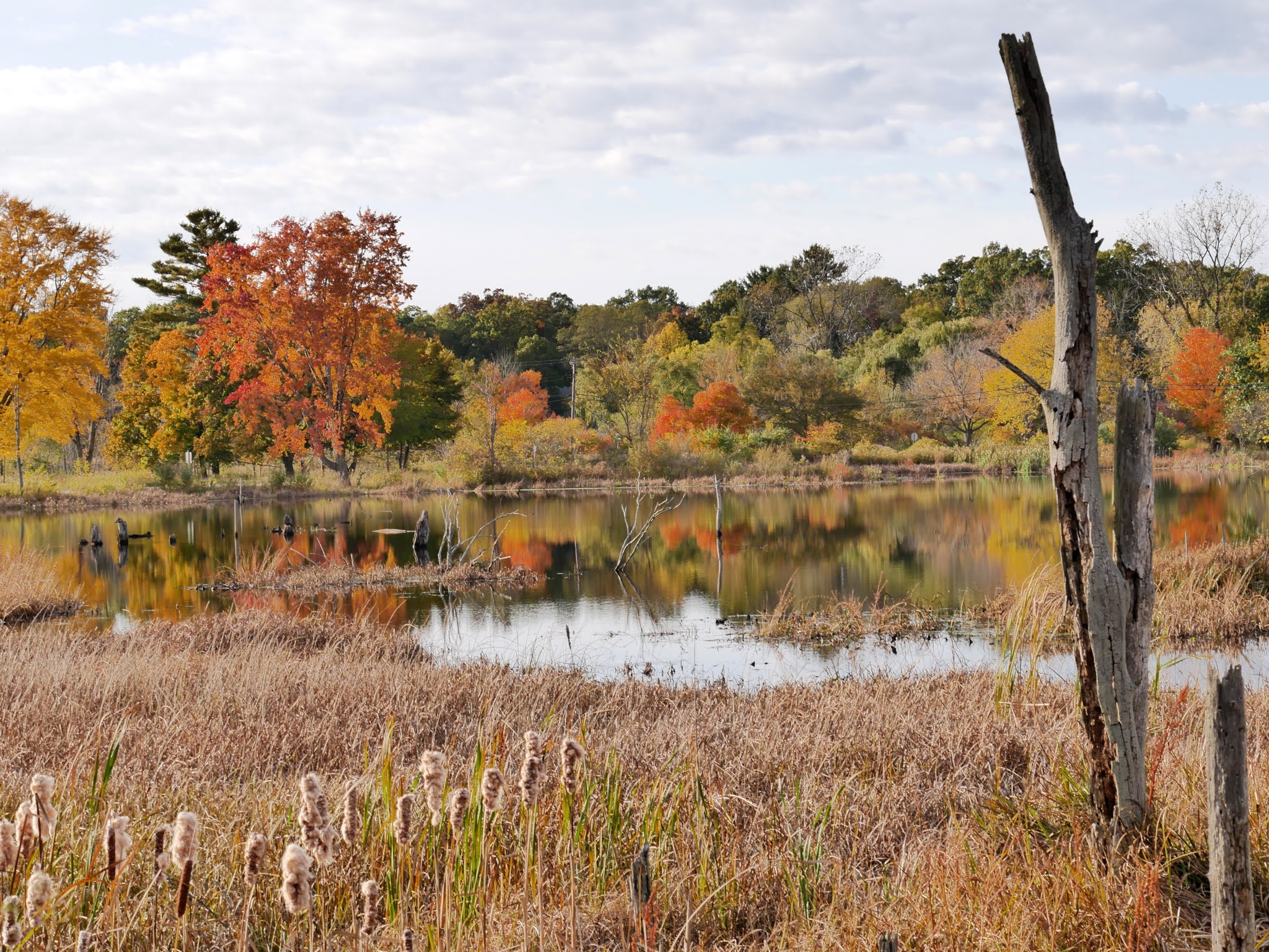American Travel Journal: Great Marsh Trail - Indiana Dunes National Park