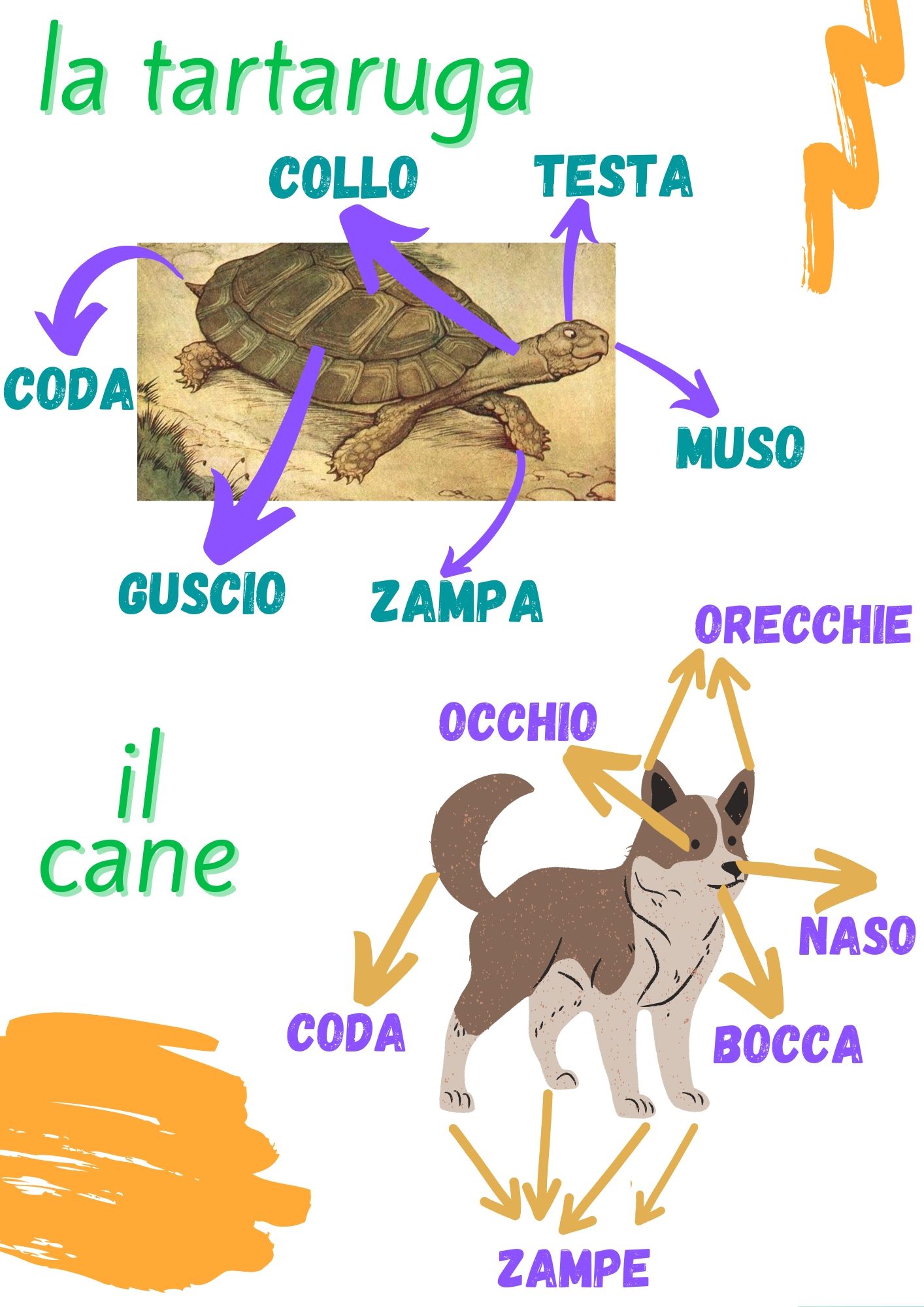 Segundo grado Castelli: i versi degli animali