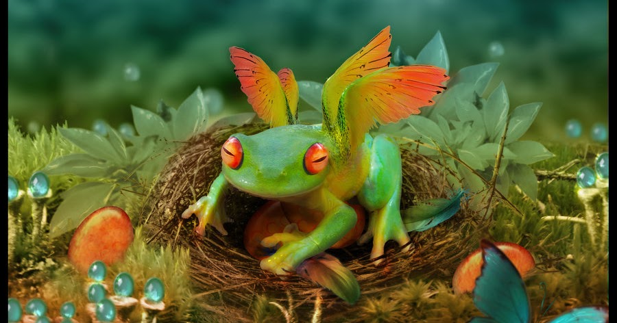 The Crafty Witch: Frog Magic and Folklore