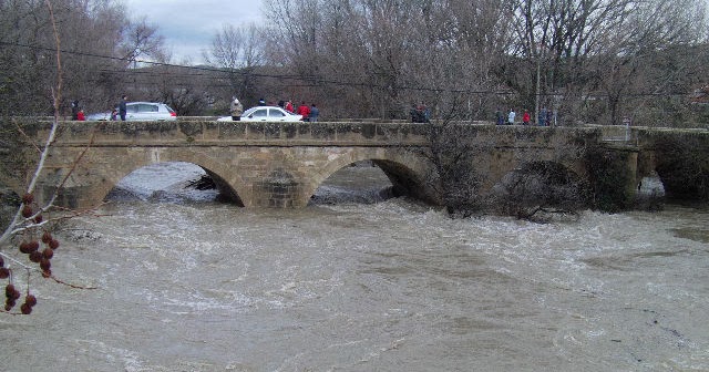 NOTICIAS DE LERÍN: Aumento del caudal del rio Ega a su paso por Lerín ...