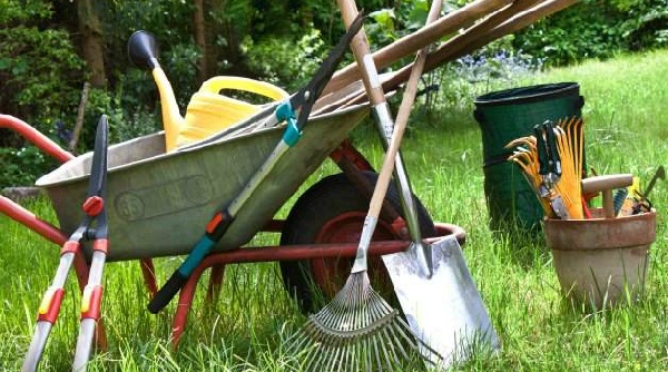 Gardening Tools & How To Use Them - Gardening for Beginners