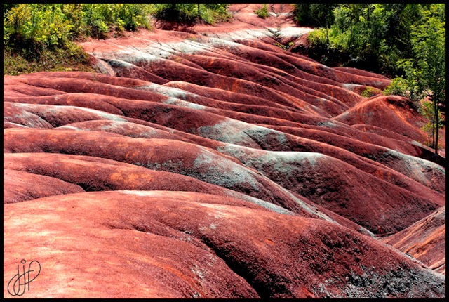Whats New: Beautiful Terra Cotta, Ontario