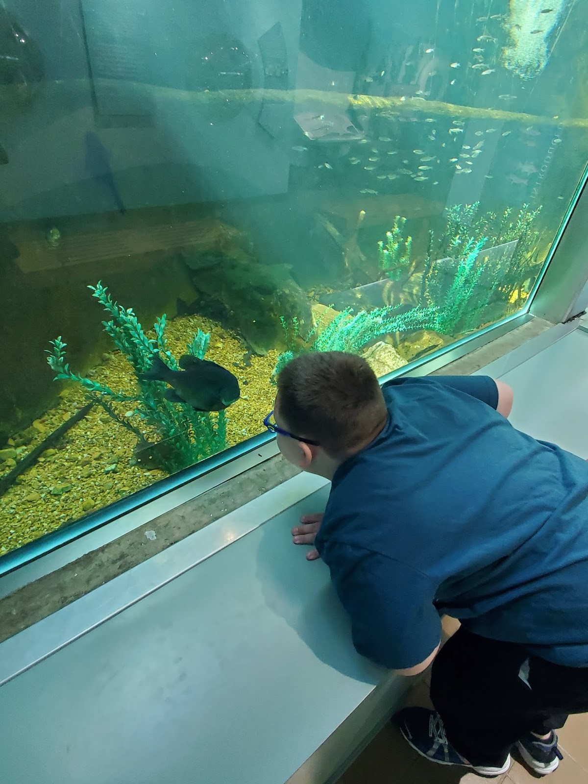 Play St. Louis: Powder Valley Nature Center, Kirkwood