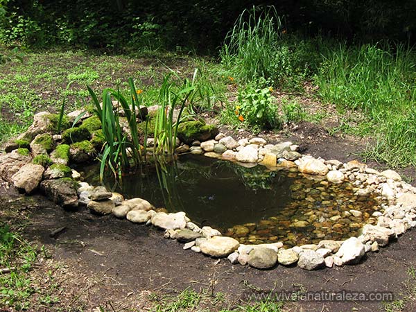 Blog de Vive la Naturaleza: Construir un estanque de PVC