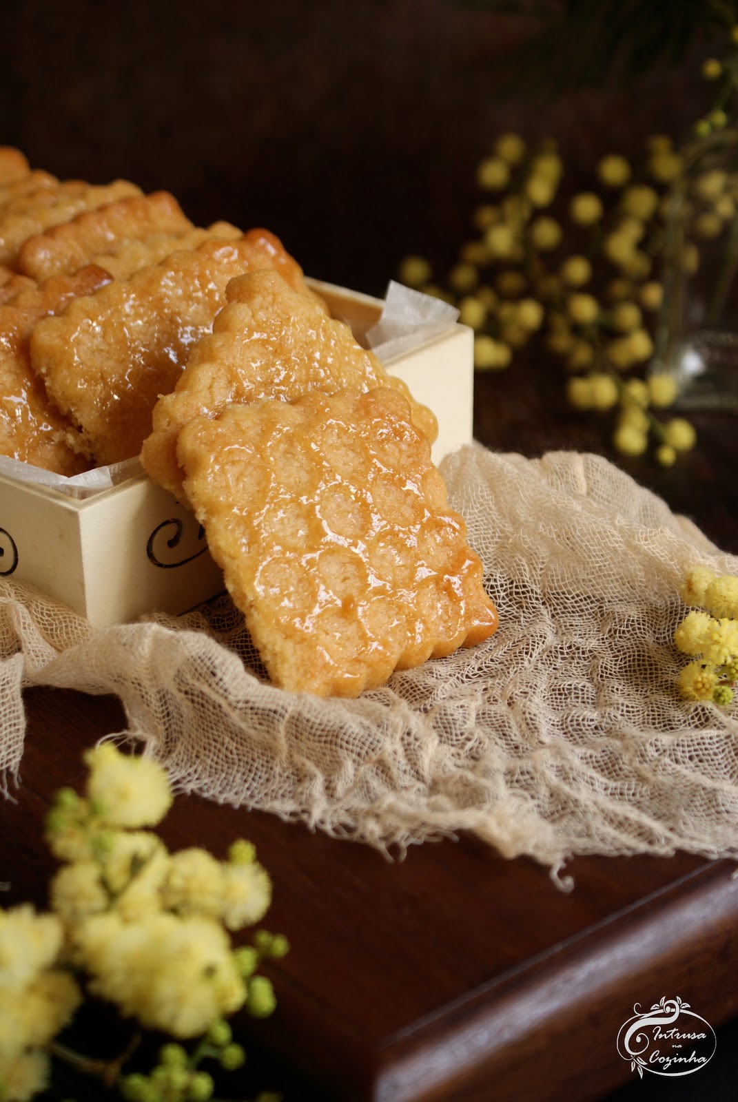 Bolachas de Mel (Honey Cookies) | Intrusa na Cozinha