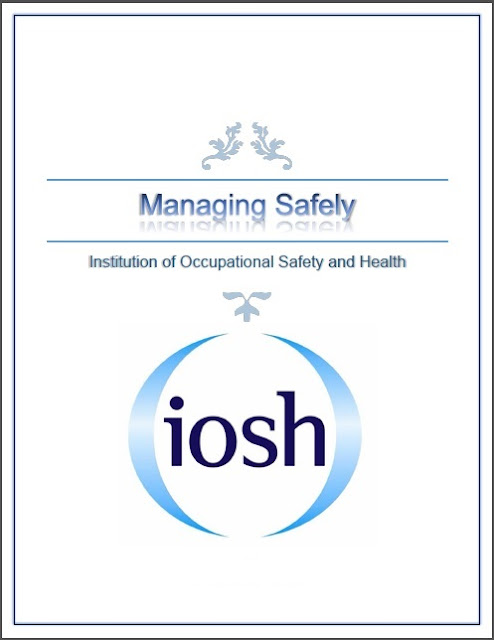 Www pdfstall online Managing Safety Institution Of Occupational Safety And Health www-pdfstall-online-managing-safety-institution-of-occupational-safety-and-health