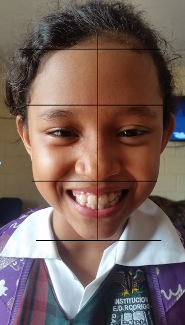 INTRODUCCIÓN A LA ODONTOLOGÍA.