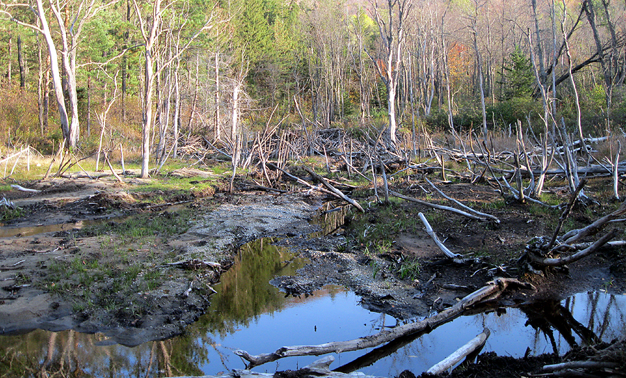 Views from the White Mountains of New Hampshire: Mount Colden (#43 ...