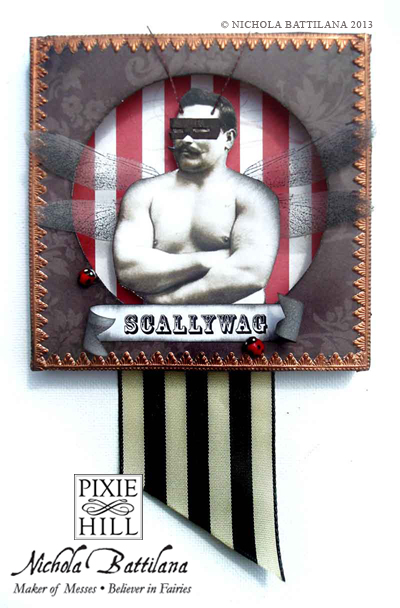 Pixie Hill: Masked Bandits