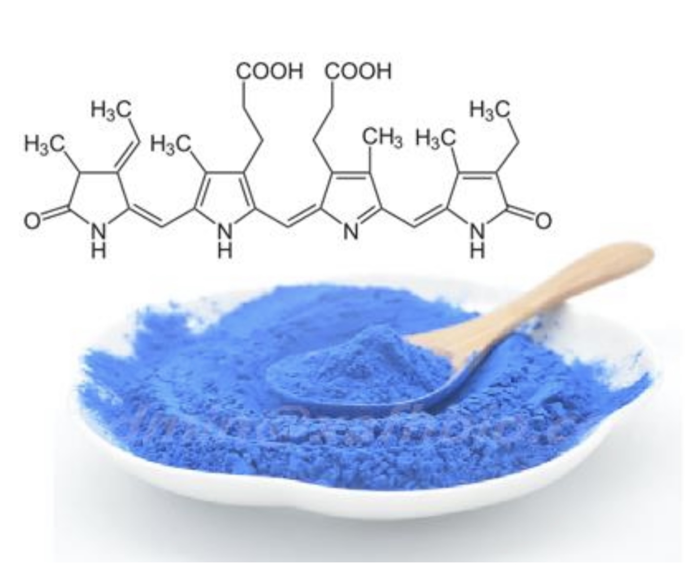BIOLOGIA PARA A VIDA : abril 2021
