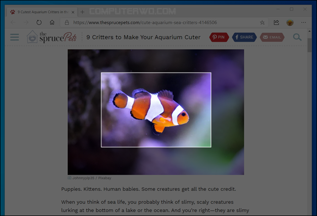 تفعيل خاصية "Search with screenshot" الجديدة في ويندوز 10