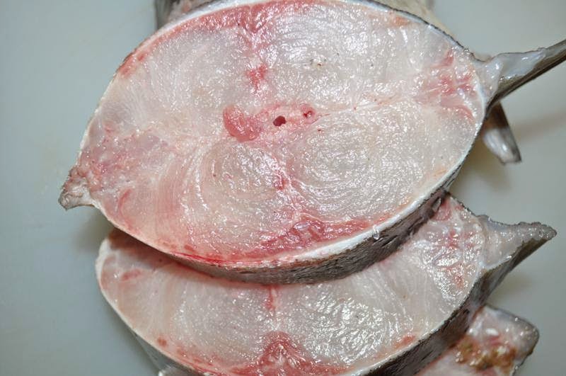 Cá bớp bao nhiêu tiền 1kg: Cá bớp bao nhiêu tiền 1kg tại TP.Hồ Chí Minh