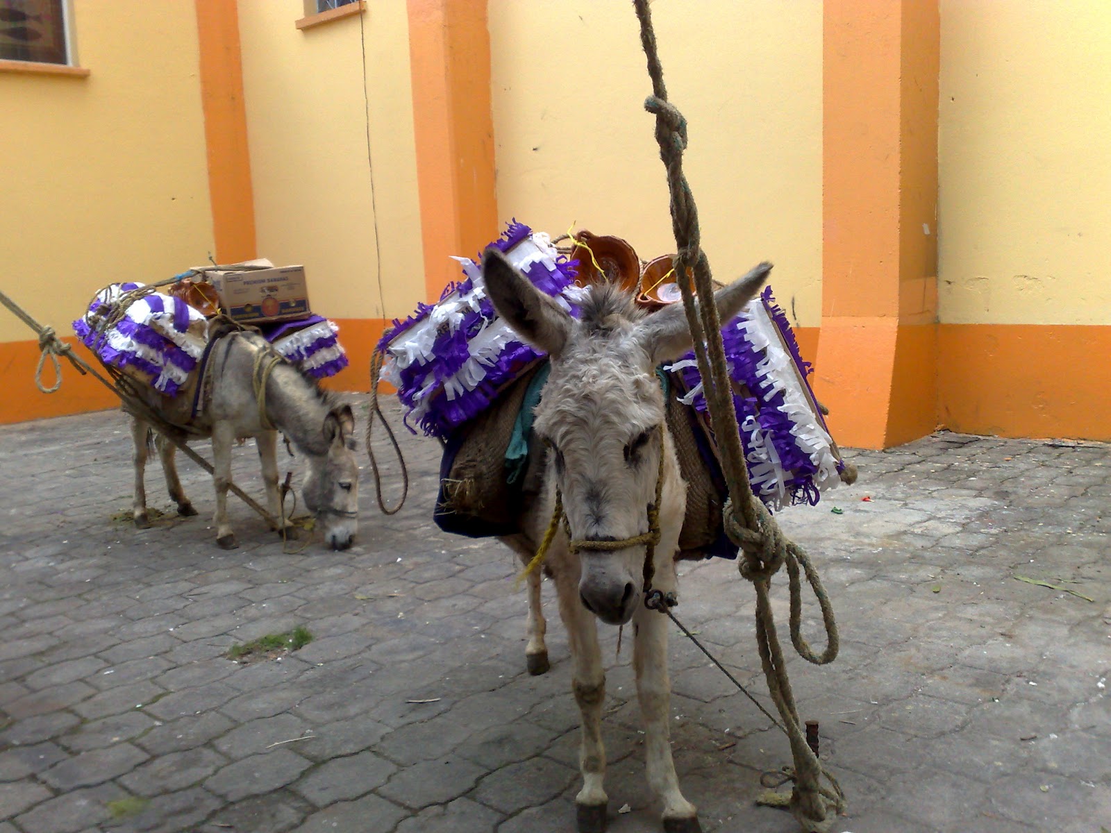 danza de arrieros: ARRIEROS SOMOS... Un poco de historia sobre la ...
