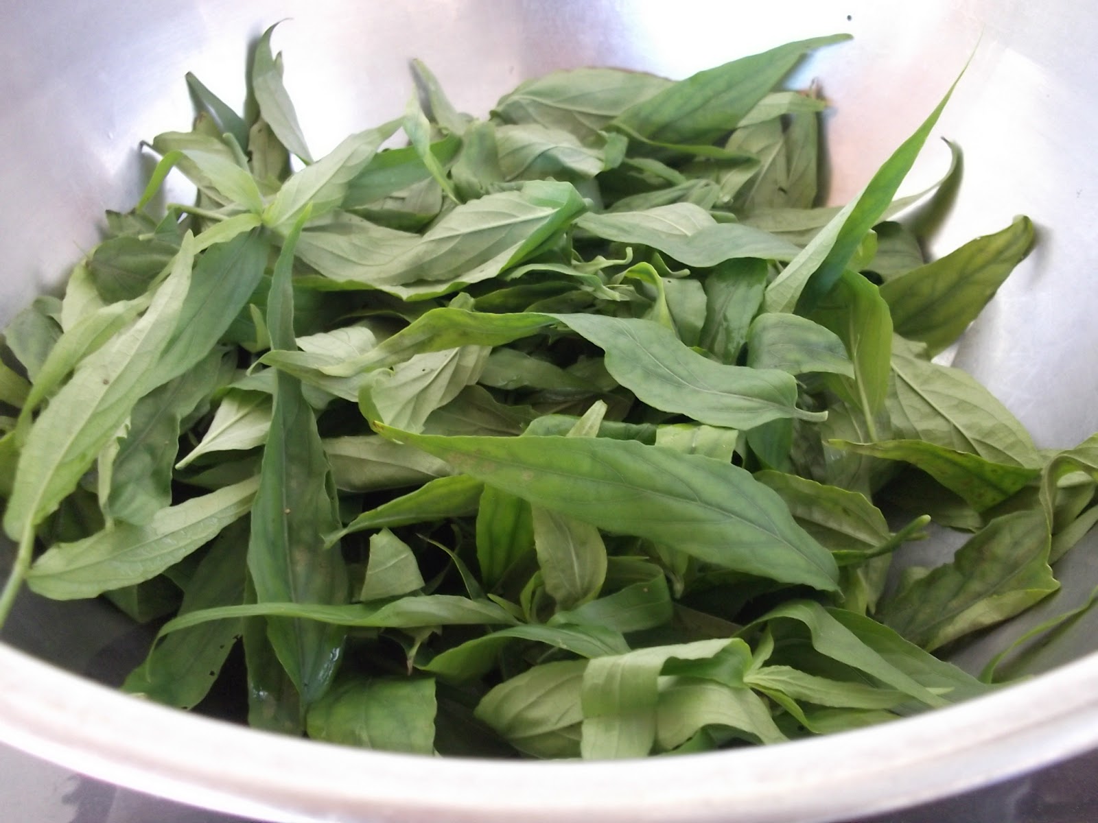 Sabah Snake Grass Dealer Singapore: Prices of Sabah Snake Grass Leaves