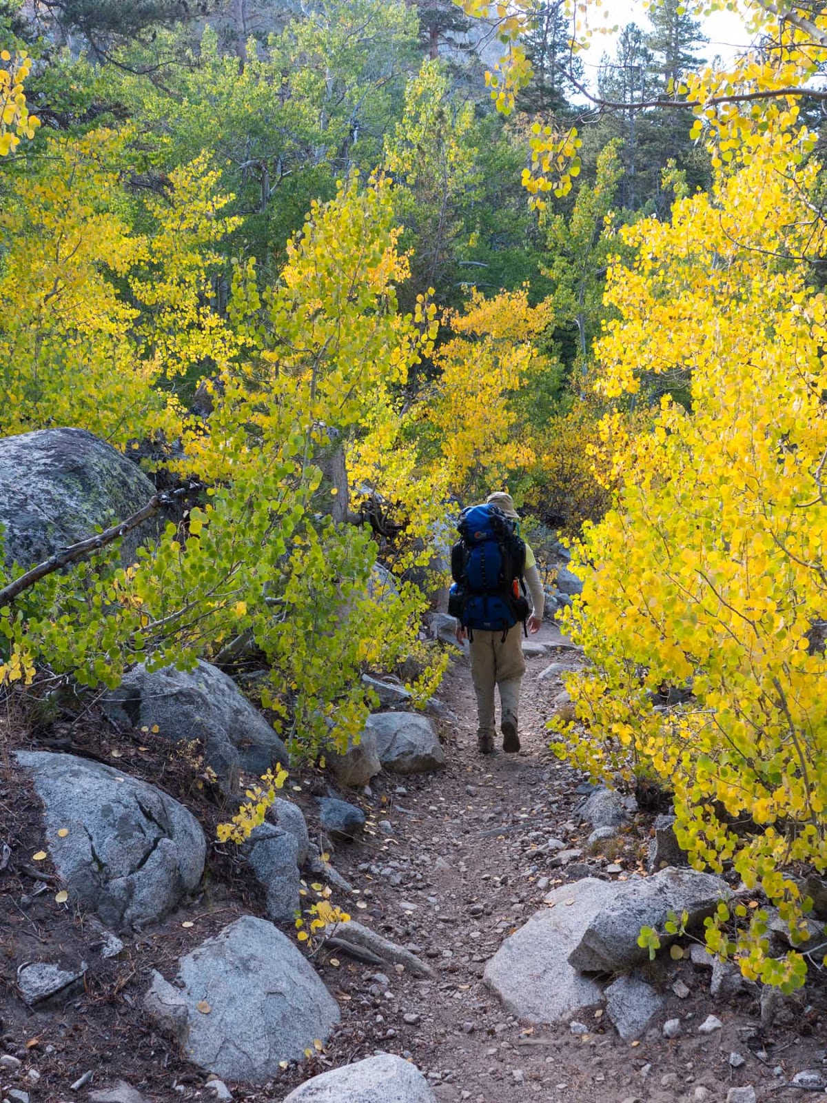 Macpaulster's Blog: Piute Pass, Alpine Col, Darwin Bench, Lamarck Col ...