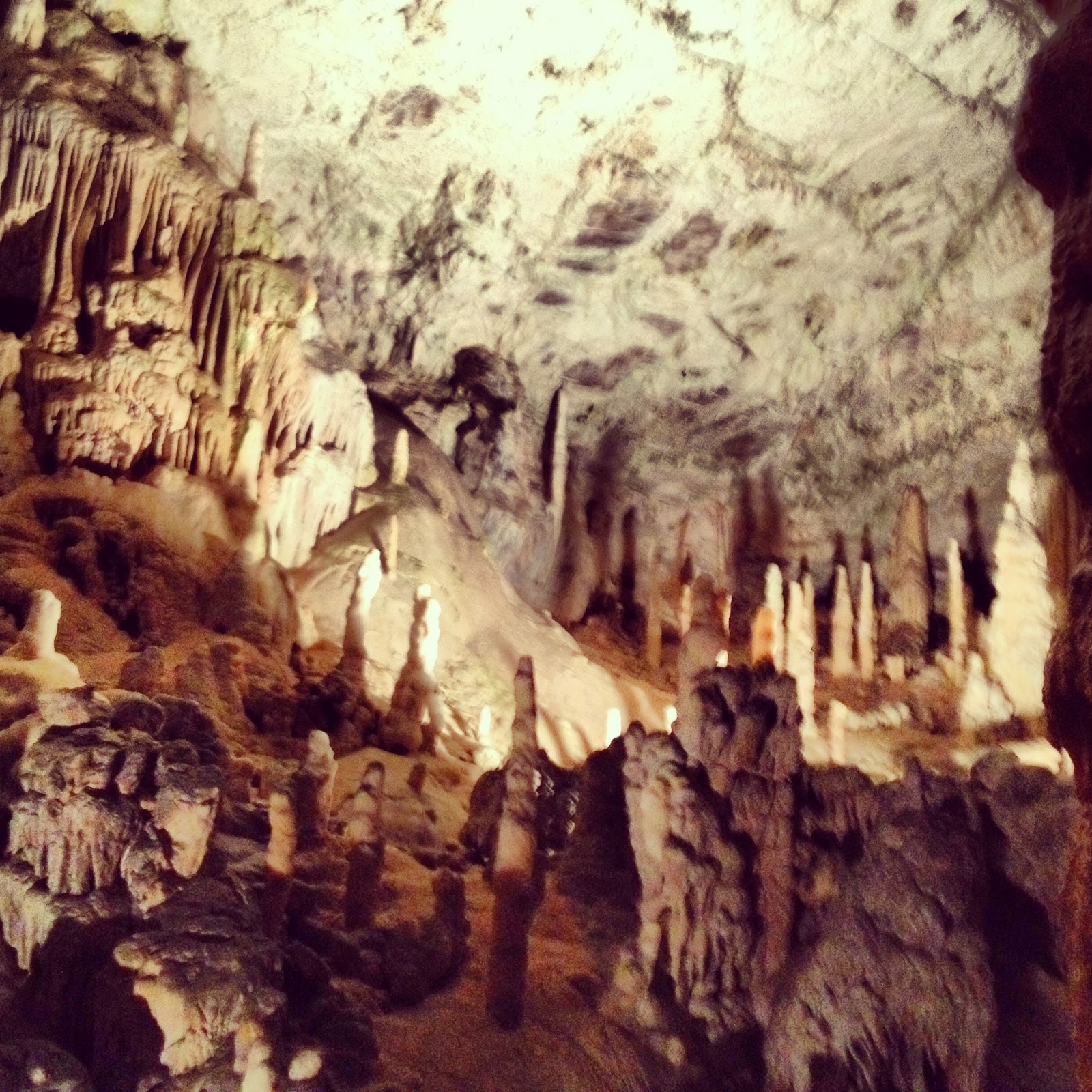 Peace Love Wanderlust: Postojna Cave!