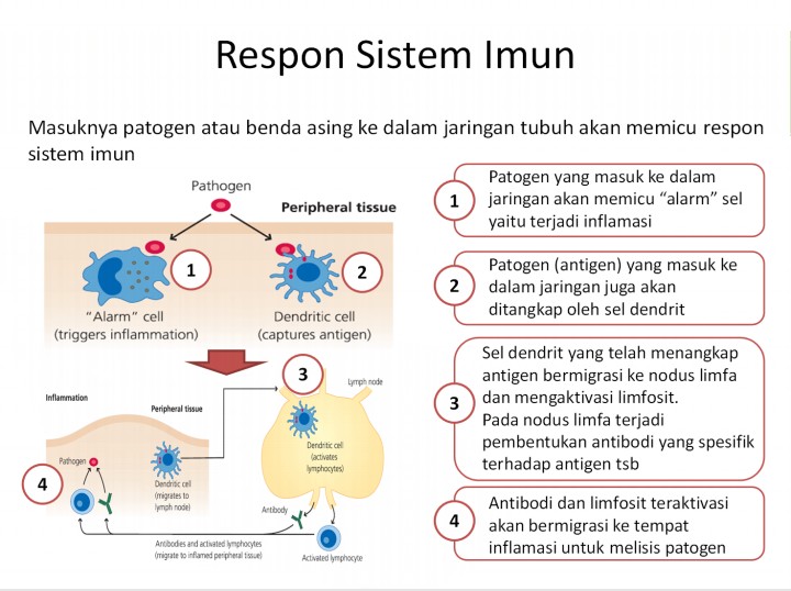 Menjaga Imunitas Keluarga Dengan Imugard