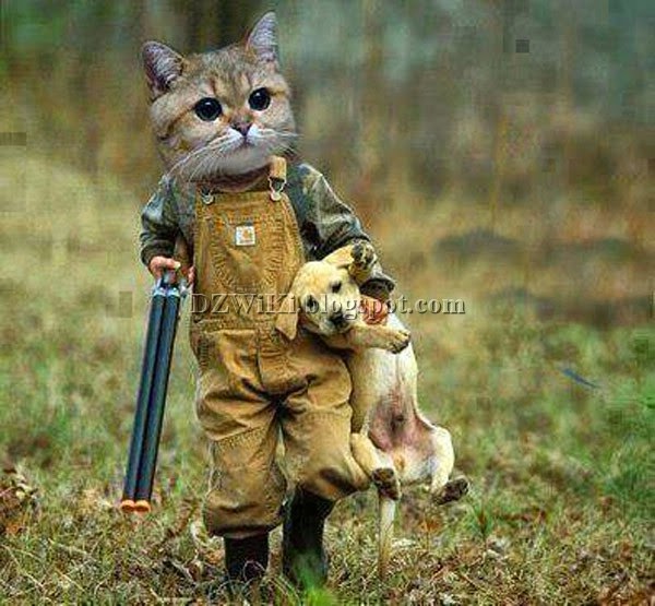 صور مضحكة جدا Sowar Modhika