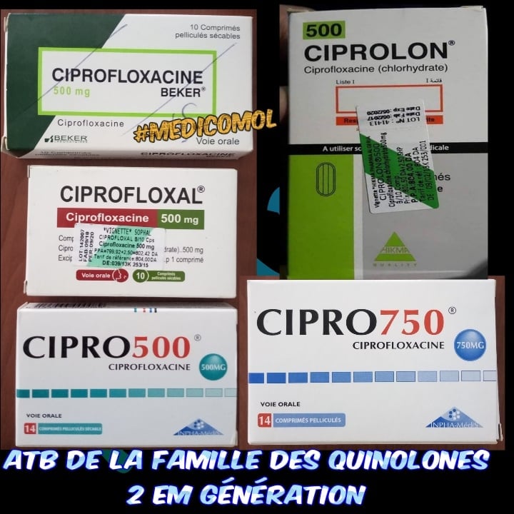 ATB | Quinolones - Para Mol