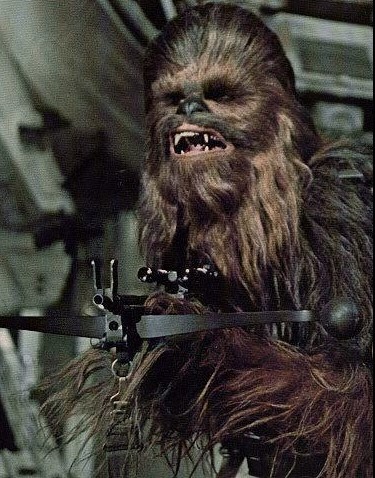 WORLD OF AWESOME: CHEWBACCA