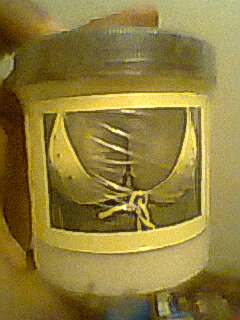 Bodyenlargement: PRODUCTS