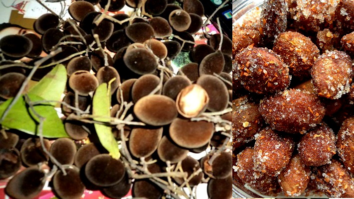 LƯU KHÂM HƯNG (劉欽興): TRÁI SAY (XAY) NHUNG - TRÁI CÂY RỪNG