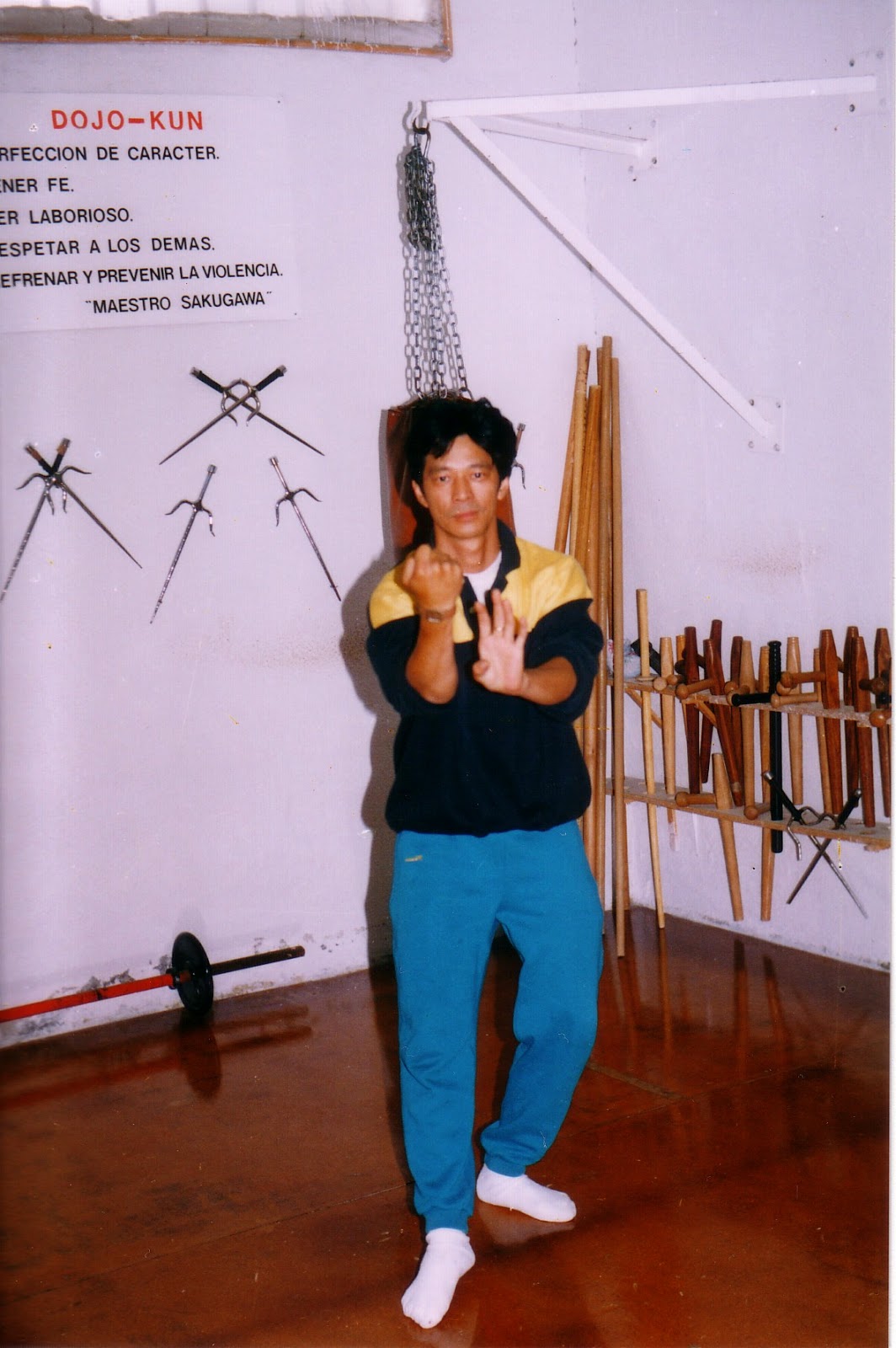 PAK MEI,Ceja Blanca,White Eyebrow, Asociacion Cheung´s Pak mei Kung Fu ...
