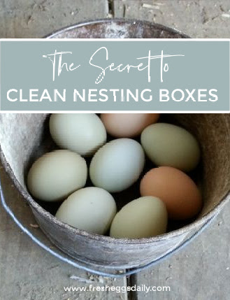 The Secret to Keeping your Chicken Coop Nesting Boxes Clean - Fresh ...