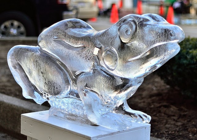 Animals Library: April 2014