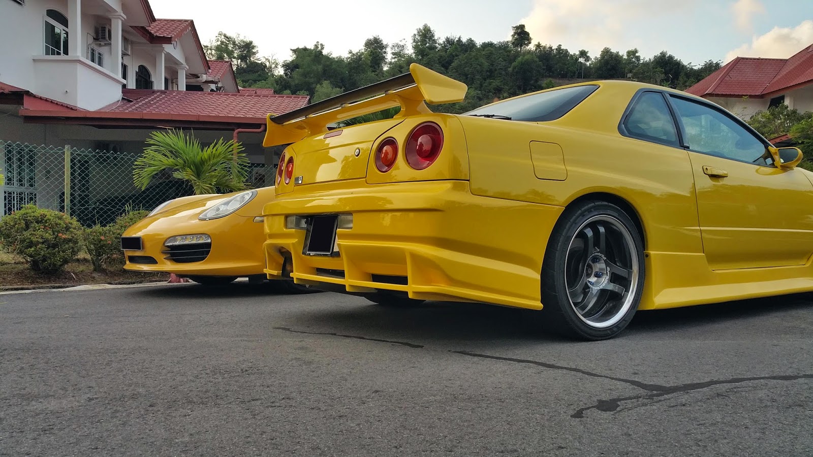 brunei-er34.blogspot.com: Taking Them Out For Sun Basking