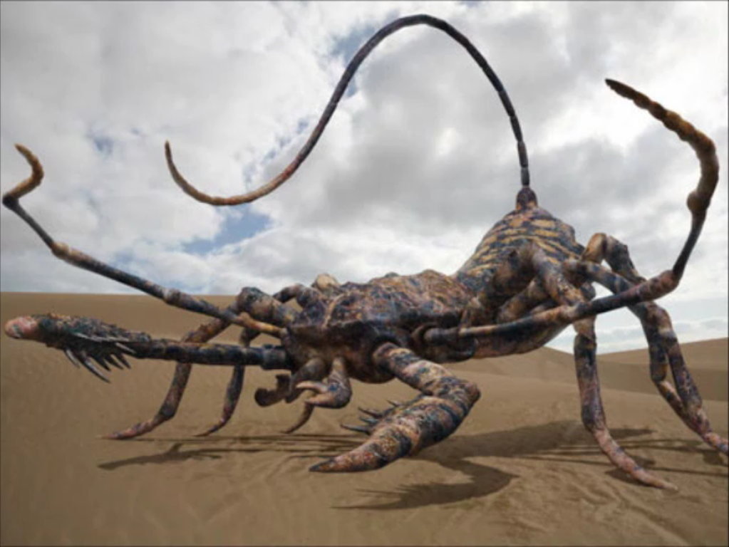 Fauna del Pasado: Uropygi