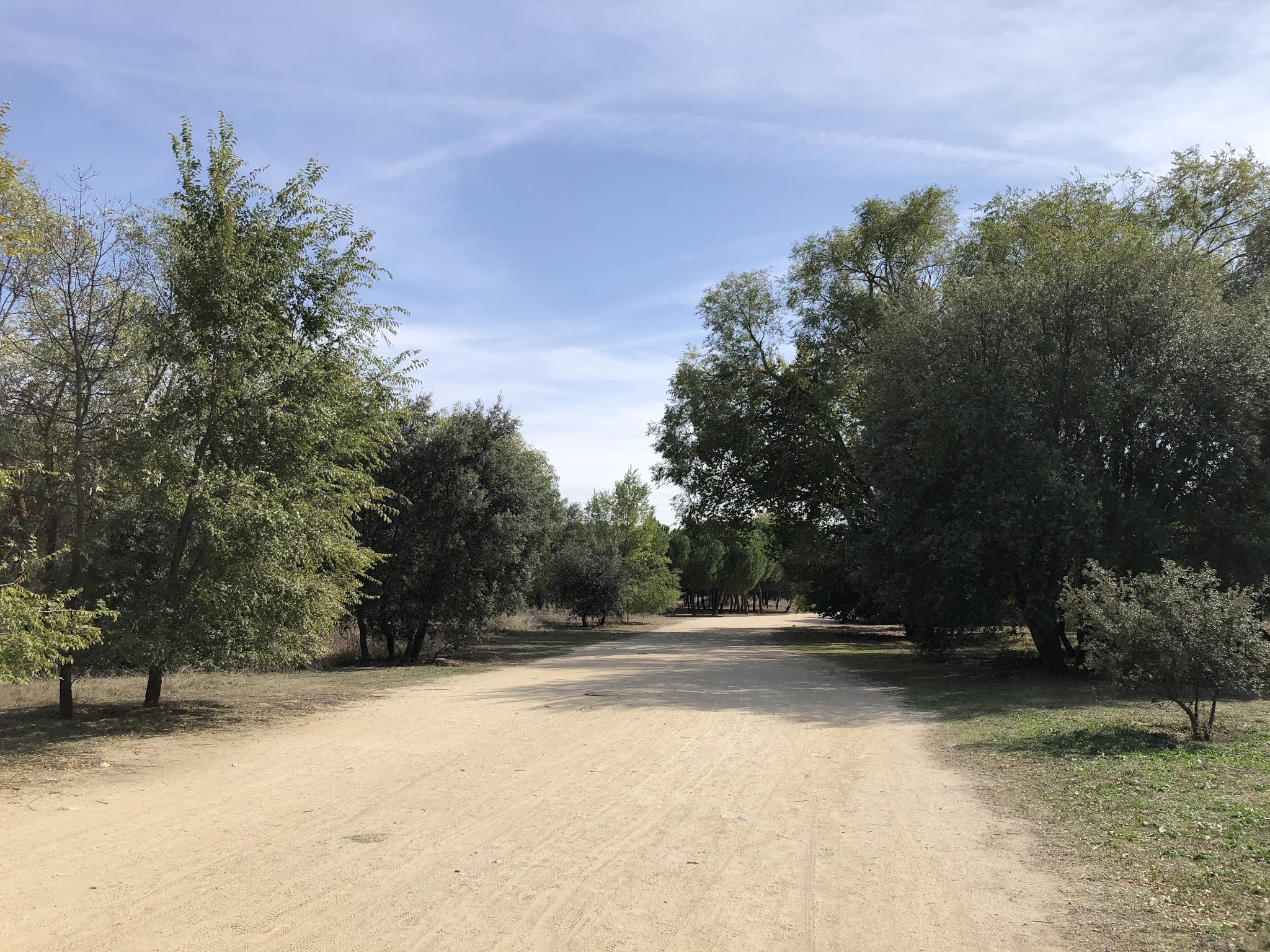 Ruta de senderismo circular por El Pardo y la Quinta - Conmimochilacuestas