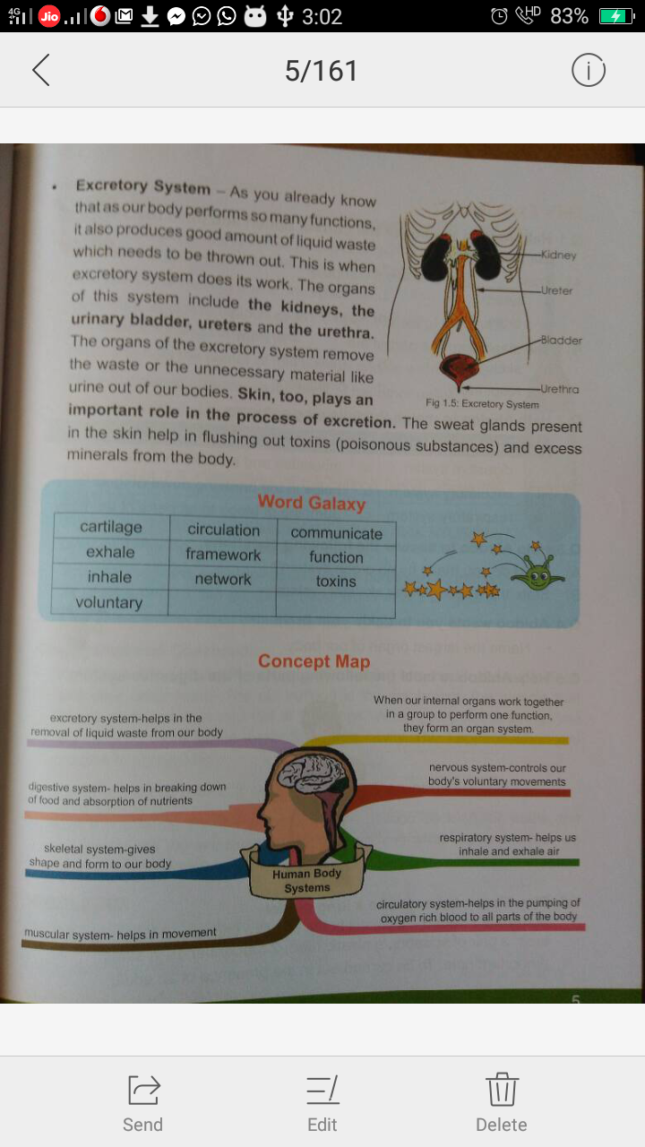 PIS VADODARA STD 4: EVS-HUMAN BODY SYSTEMS