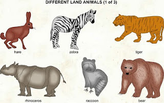 English resources for primary students: Animals