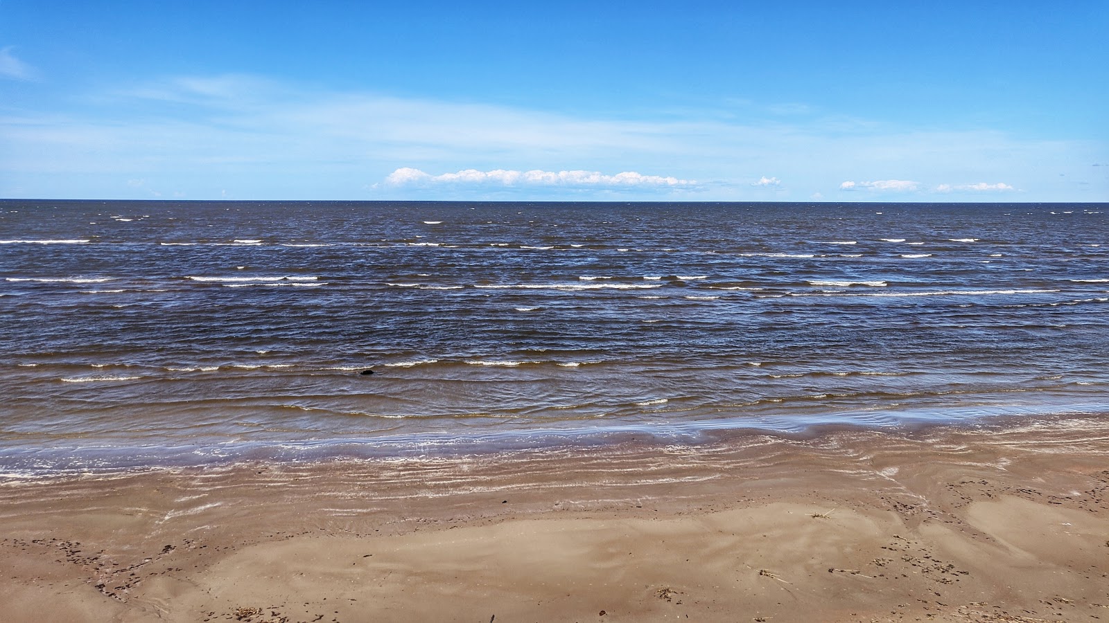 Eestlane, meri ja mets | Eveli veebipäevik