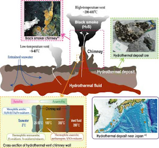 Deep Sea Bloggerhead: Geology, Geography, Formation, and Chemosynthesis ...