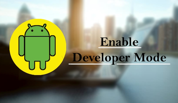 How to turn on Developer mode in android