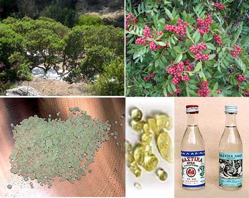 Amici-in-allegria: Mastica -μαστιχα