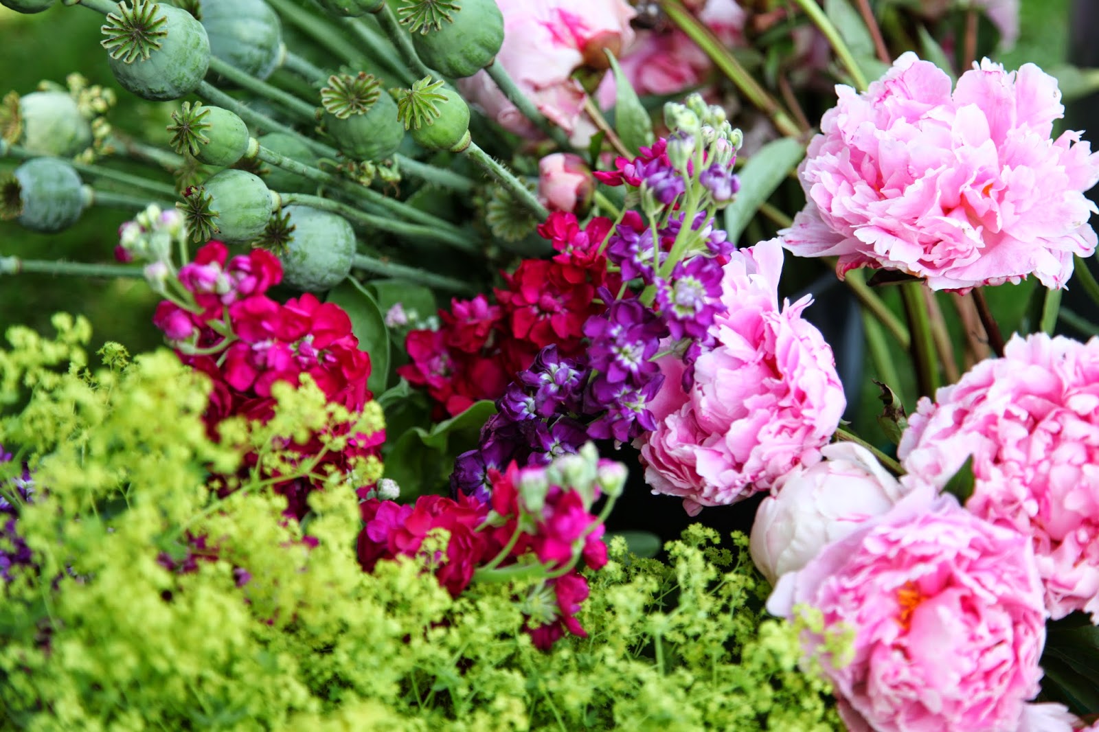 Flowers by Shamini: British Flowers Week: the flowers!